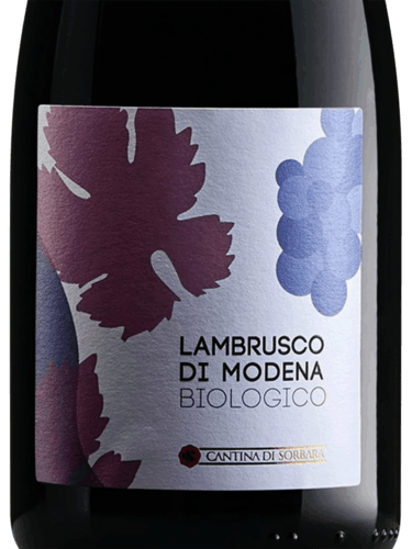 Cantina di Sorbara Lambrusco di Modena Biologico | Vivino US