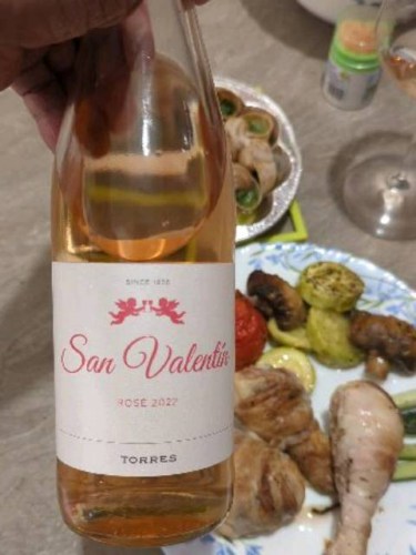 Familia Torres San Valentín Rosé | Vivino US