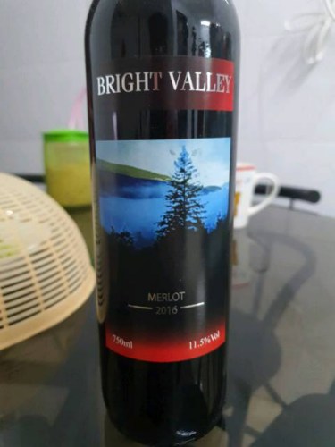 Bright Valley Merlot | Vivino US