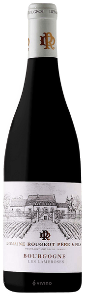 2019 Domaine Rougeot Les Lameroses Bourgogne | Vivino US