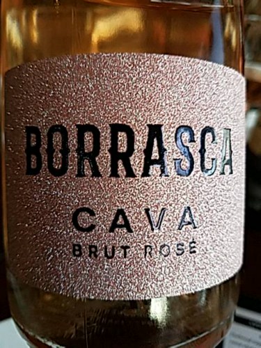 Borrasca Cava Brut Rosé | Wine Info