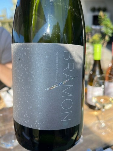 Bramon Methode Cap Classique | Vivino English