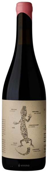 Arribas Wine Company Saroto Tinto | Vivino US