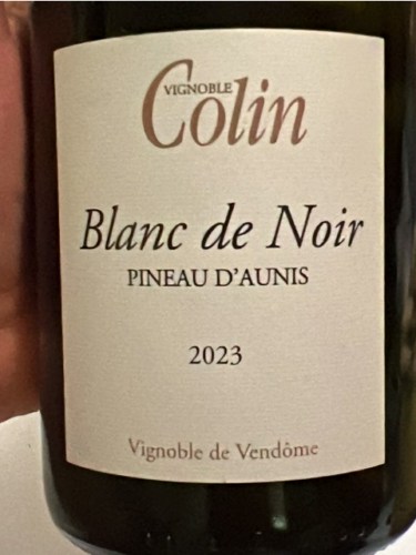 Patrice Colin Blanc de Noir Pineau d'Aunis | Vivino US