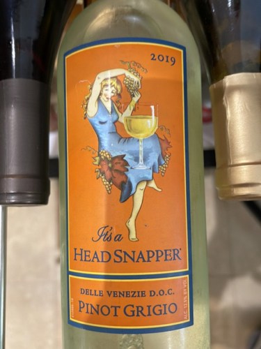 2019 Headsnapper Pinot Grigio delle Venezie | Vivino US