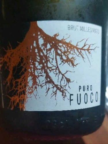 Divine Ignis Puro Fuoco Brut Millesimato | Vivino US
