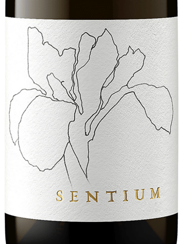 Continuum Sentium | Vivino English