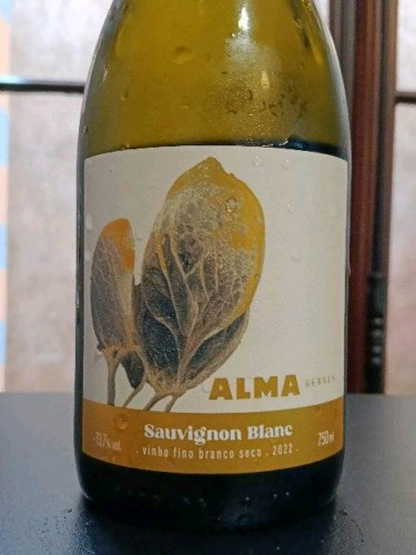 Vinícola Alma Gerais Sauvignon Blanc | Vivino US