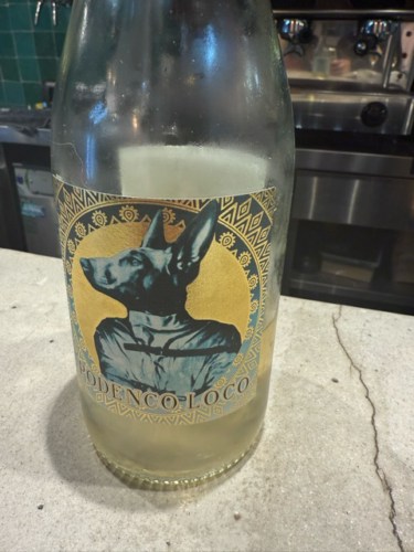 Blacknose Podenco Loco | Vivino US