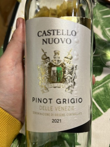 2021 Castello Nuovo Pinot Grigio delle Venezie | Vivino US