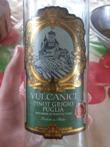 Caldirola Vulcanici Pinot Grigio | Vivino US