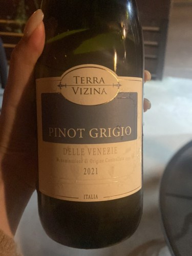 2021 Terra Vizina Pinot Grigio | Vivino US