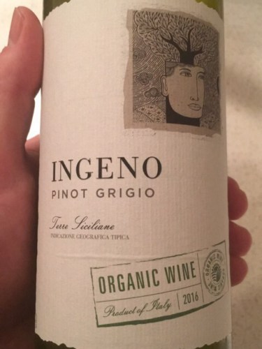 Ingeno Pinot Grigio | Vivino US