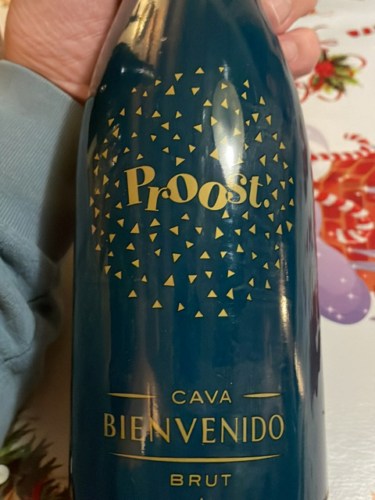 Bienvenido Cavas Proost Cava Brut | Vivino France