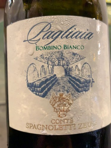 Conte Spagnoletti Zeuli Pagliaia Bombino Bianco | Vivino US