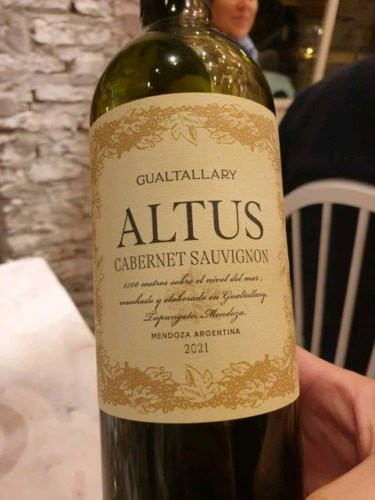Bodega Altus Gualtallary Cabernet Sauvignon | Vivino US
