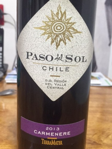 TerraMater Paso del Sol Carmenère | Vivino Canada