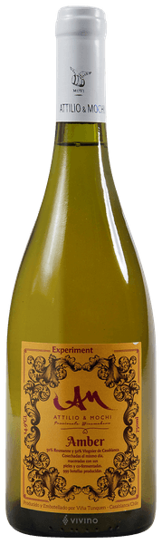 Attilio & Mochi Amber | Vivino English