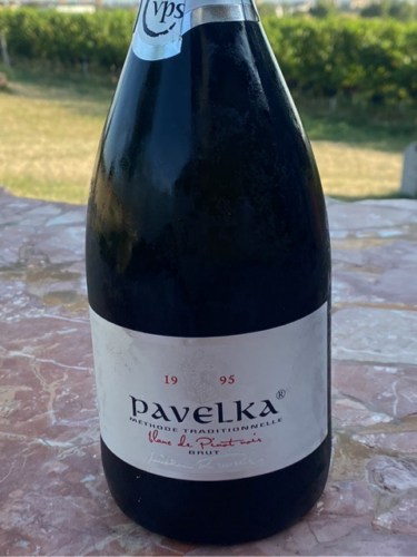 Pavelka Blanc de Pinot Noir | Vivino US
