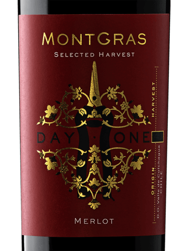 2019 MontGras Day One Merlot | Vivino US