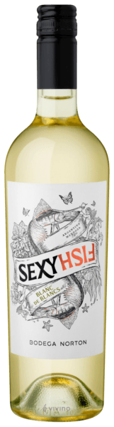 2023 Bodega Norton Sexy Fish Blanc de Blancs | Vivino United Kingdom