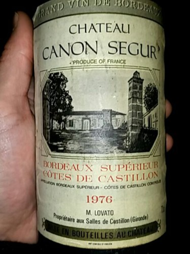 Château Canon Segur Bordeaux Supérieur | Vivino US