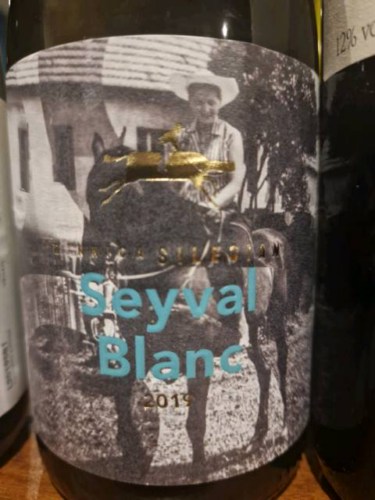 2019 Winnica Silesian Seyval Blanc | Vivino US