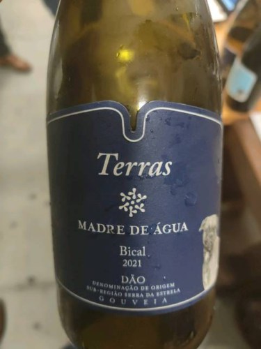 Madre de Água Terras Bical | Vivino US