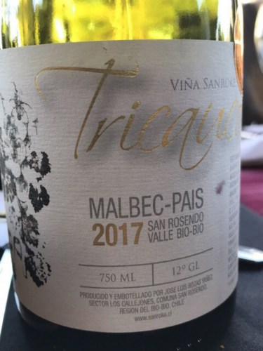 2021 Viña Sanroke Tricauco Malbec - Pais | Vivino US