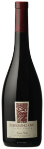 Top 25 Canadian Pinot Noir wines right now