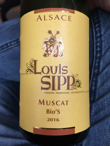 Louis Sipp Muscat Bio's | Vivino US