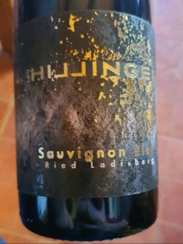 Leo Hillinger Ried Ladisberg Sauvignon Blanc | Vivino US