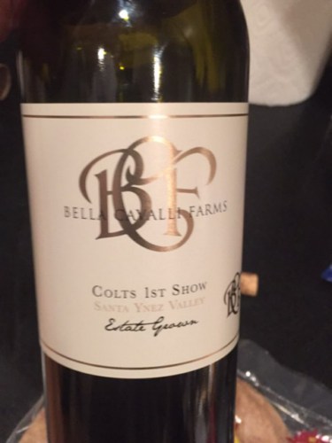 Bella Cavalli Farms Colt's 1st Show | Vivino US