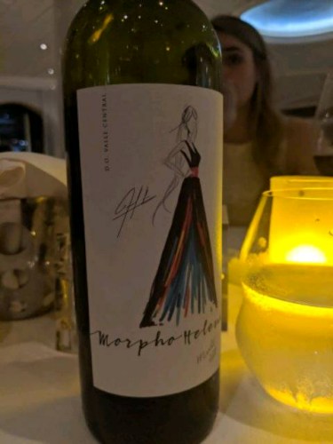 2019 Morpho Helena Pasarela Merlot | Vivino US