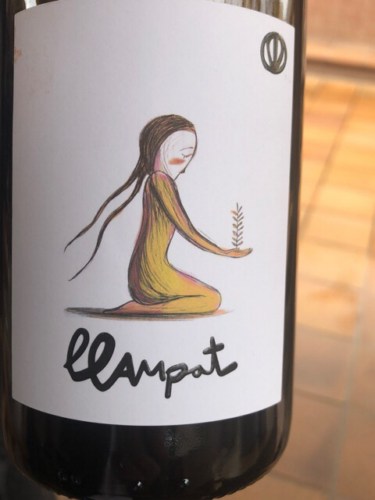 Vinyas d'Empremta Llampat | Vivino US