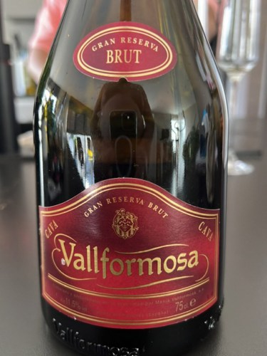 Vallformosa Gran Reserva Brut | Vivino Deutsch