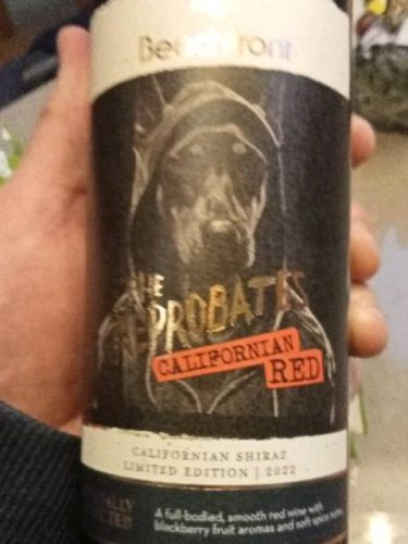 Beachfront The Reprobates Limited Edition Shiraz | Vivino US