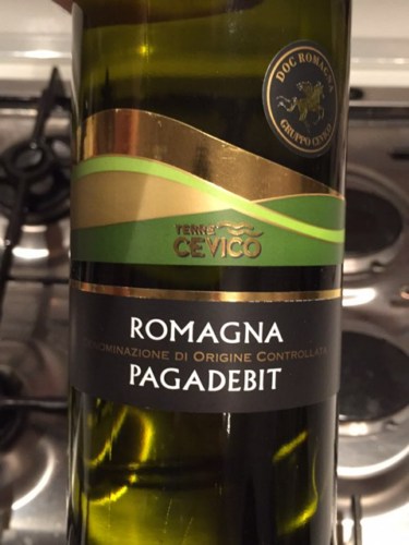 Terre Cevico Romagna Pagadebit | Vivino English