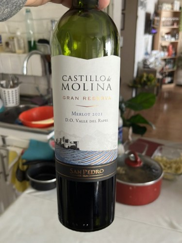 San Pedro Castillo de Molina Gran Reserva Merlot | Vivino United Kingdom