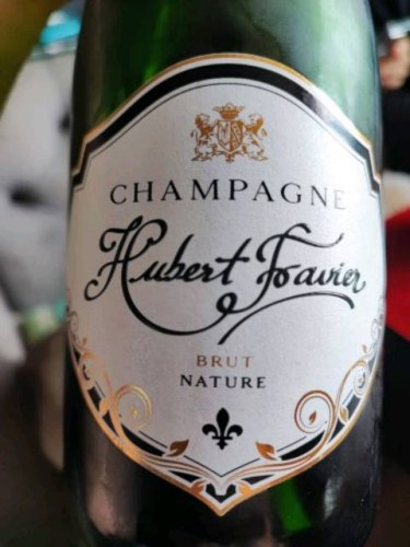 Hubert Favier Brut Nature Champagne | Vivino US