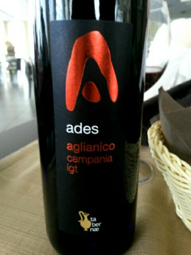 Tabernae Ades Aglianico Campania | Vivino US