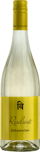 Tamborini Carlo Resilient Johanniter | Vivino English