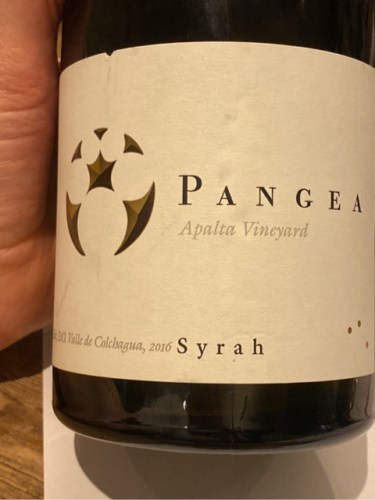 2017 Pangea Apalta Vineyard Syrah | Vivino US
