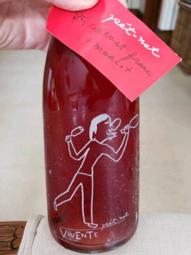 2018 Vivente Vinhos Vivos Pet Nat Cabernet Franc – Merlot | Vivino