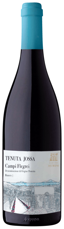 Cantine Astroni Winery | Vivino