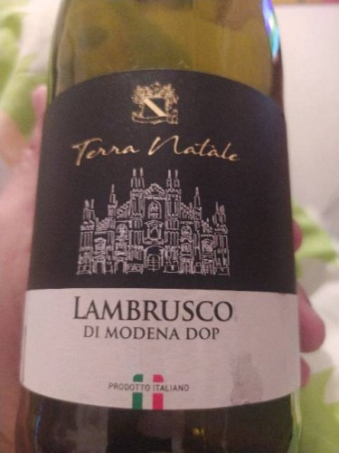 Terra Natale Lambrusco di Modena | Vivino US