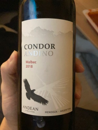 2018 Andean Vineyards Condor Andino Malbec | Vivino