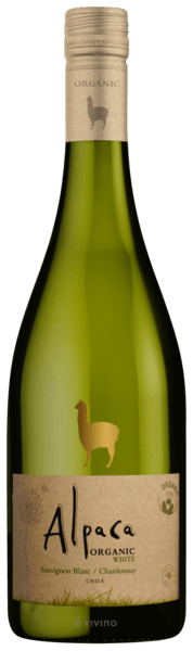 Alpaca Organic White | Vivino English