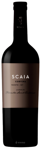 2008 Scaia Rosso (Corvina) | Vivino US