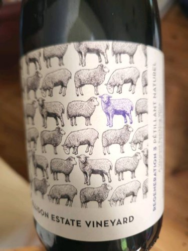 Ellison Estate Vineyard Regeneration 3 Pétillant Naturel | Vivino US
